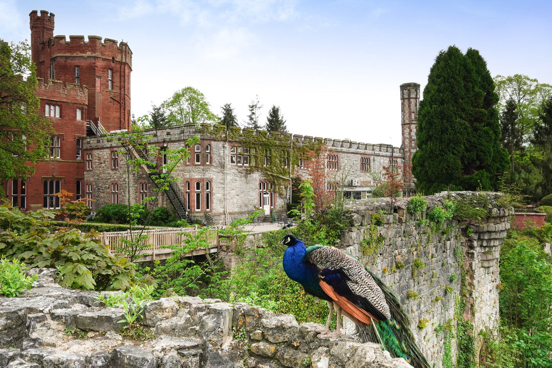 All About Ruthin Castle: Its History and Modern Transformation into a ...